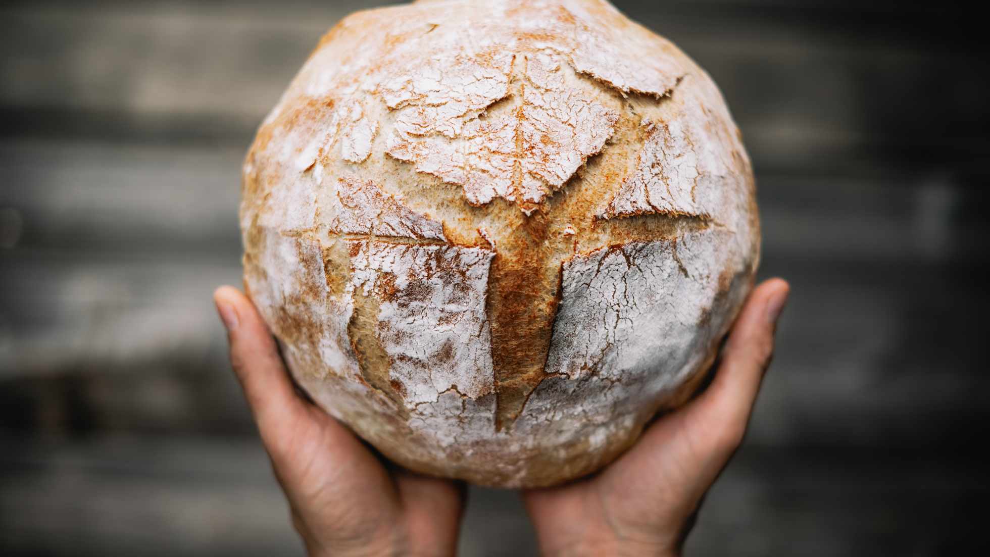 The Top Ten Places to Get Fresh Sourdough Bread in Kentucky - The ...
